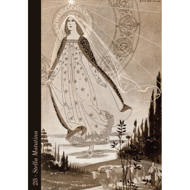 Oráculo Divine Light - Cartas Espirituales | Tienda Esotérica Changó